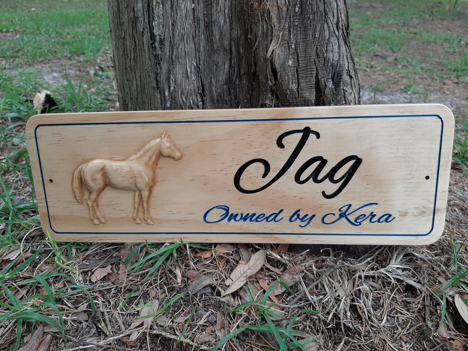 Horse Stall Signs, Horse Name plates, Barn Stable Name plaques