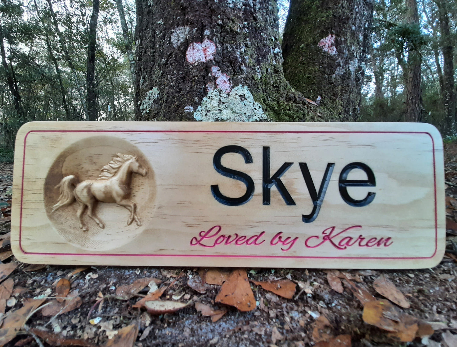 Custom Horse Stable Signs and Horse Stall Name Plates