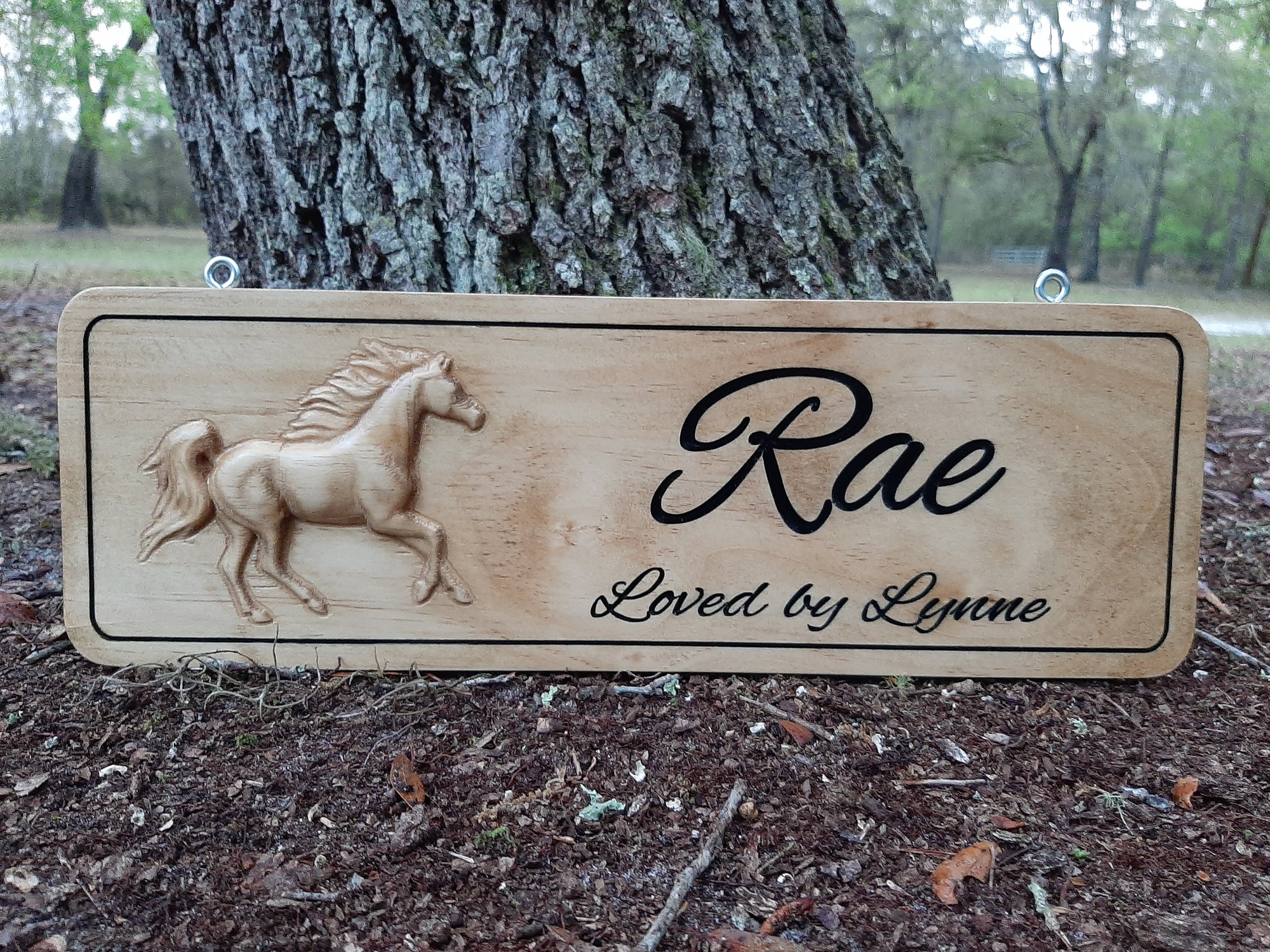 Horse Stall Signs, Horse Name plates, Barn Stable Name plaques